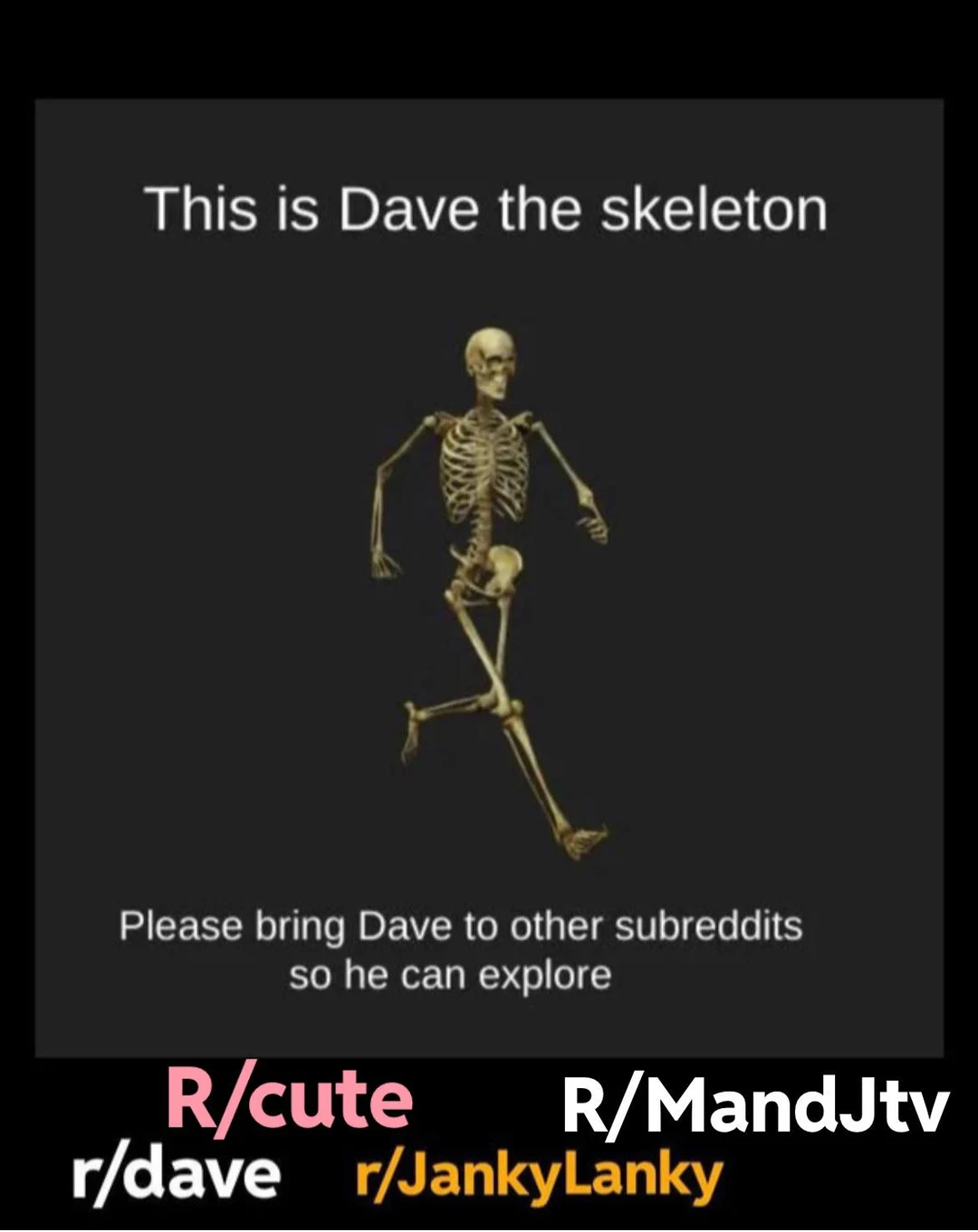 Say hi to Dave everybody. | Scrolller