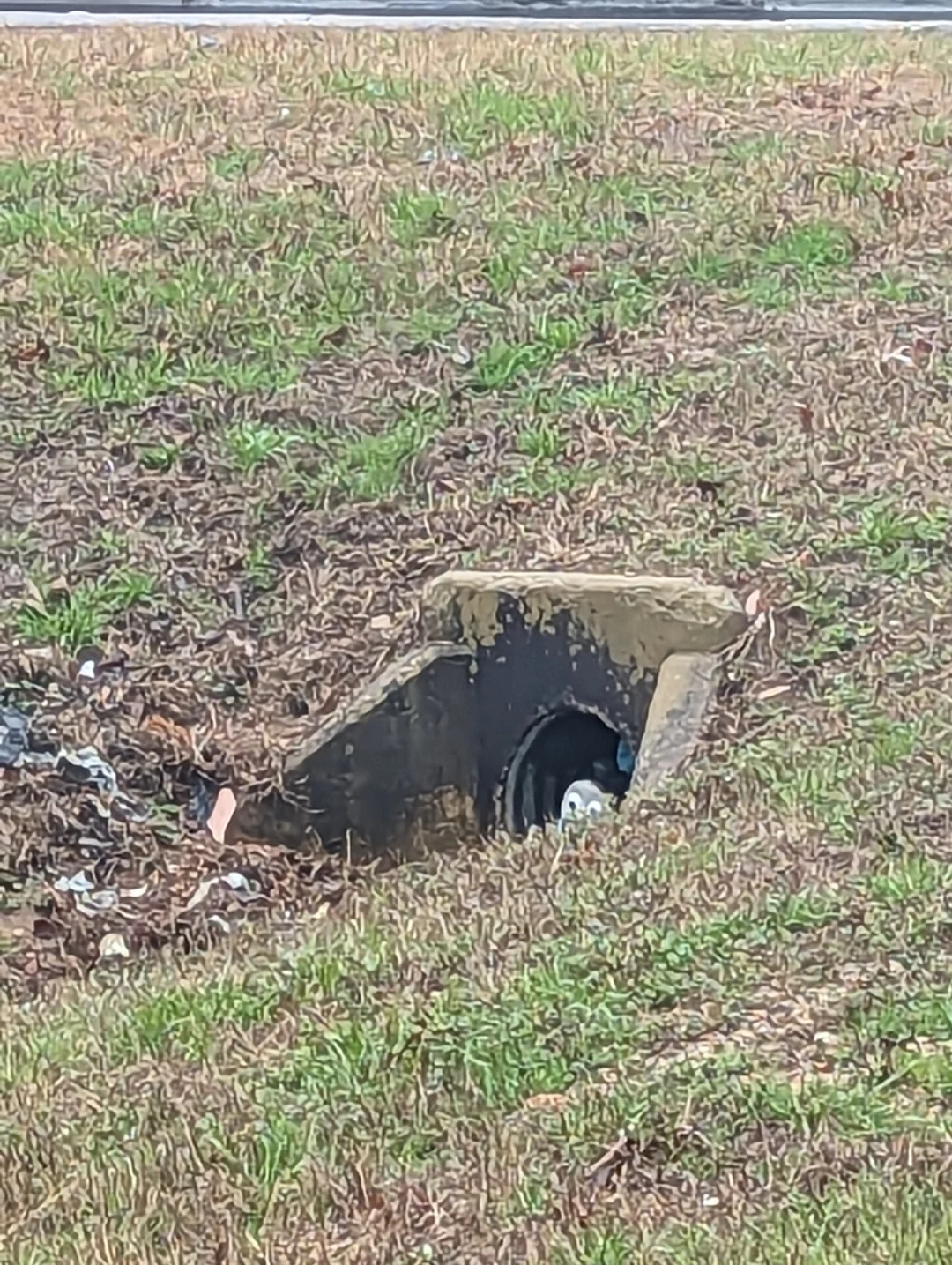 There is now a Thomas the Tank Engine residing in the drainage pipe on the Green Springs exit of ...