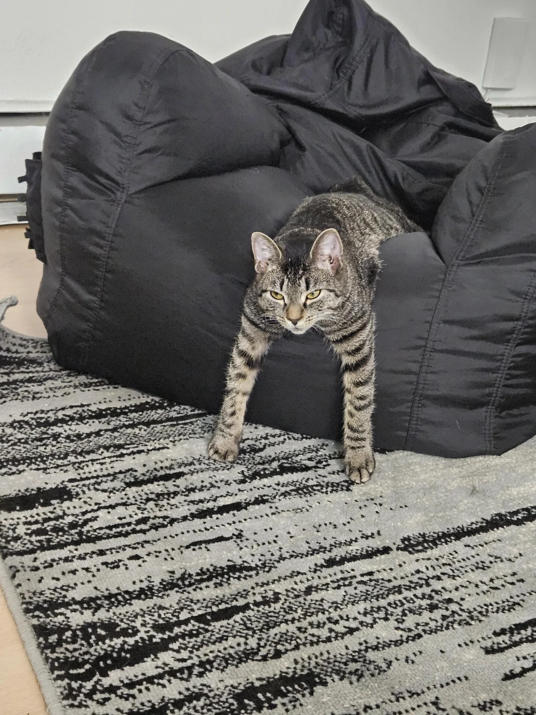 Rough day of doing nothing | Scrolller