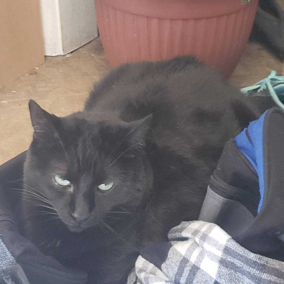 Angry burnt loaf | Scrolller