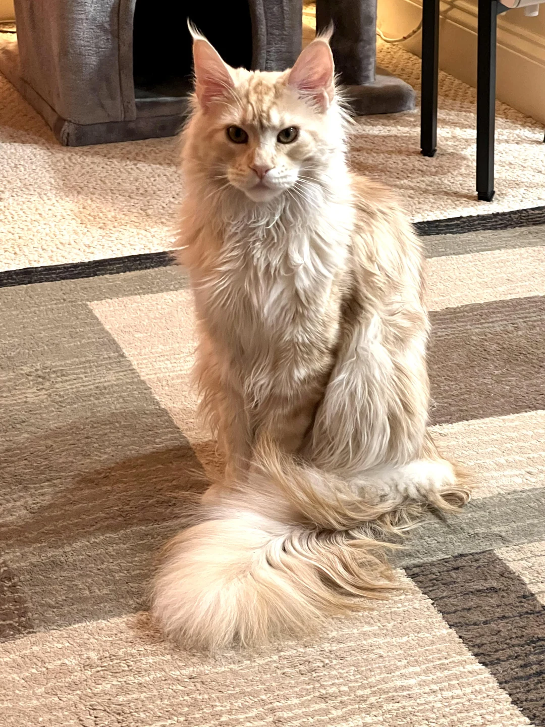 Striking a pose | Scrolller