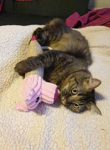 Meet Luna | Scrolller