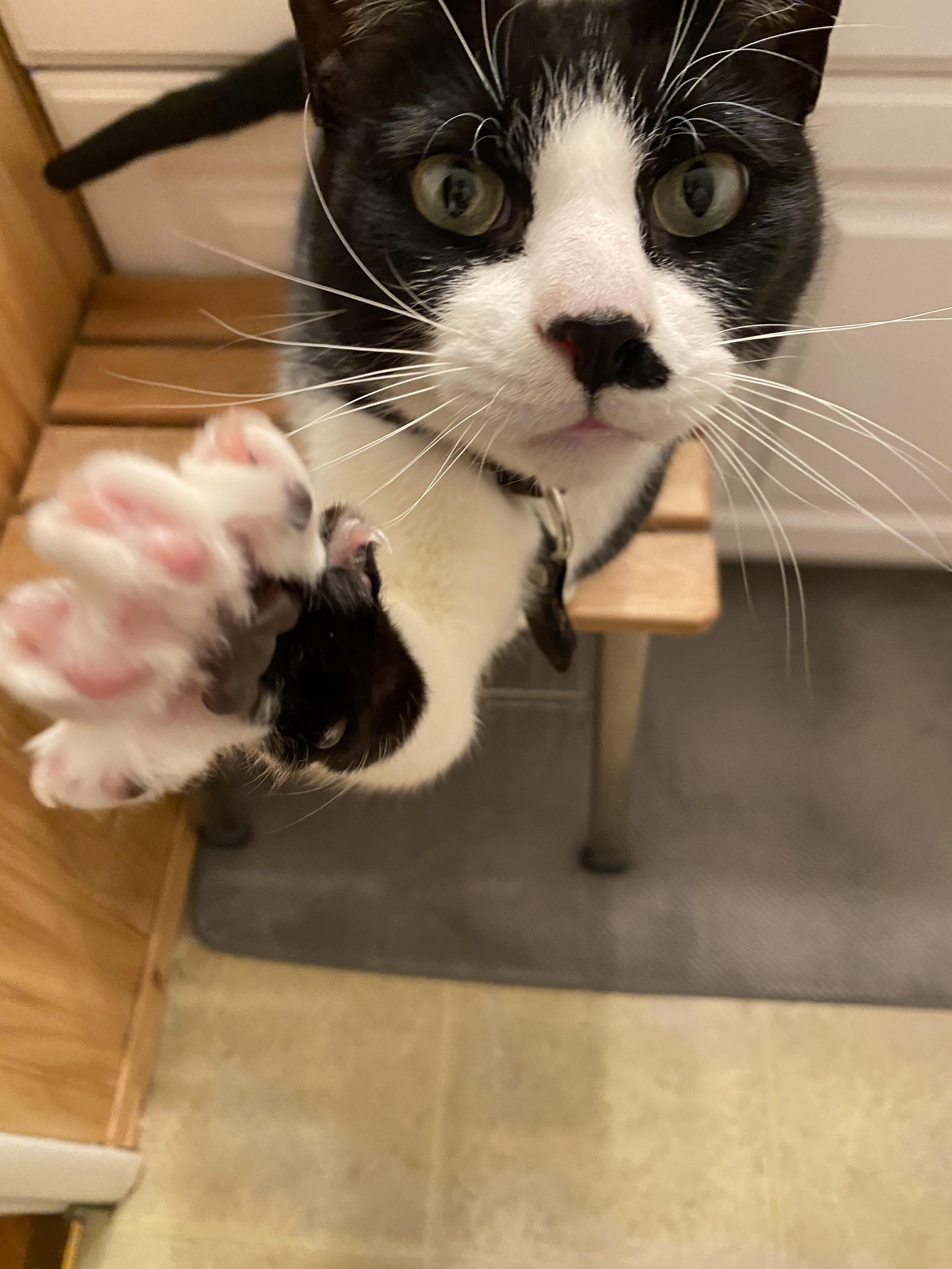 I finally have the perfect picture showing how handsy he is | Scrolller