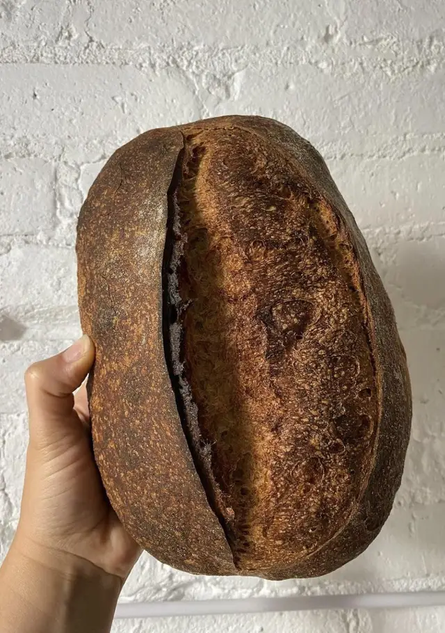 Finally got some solid crust! | Scrolller