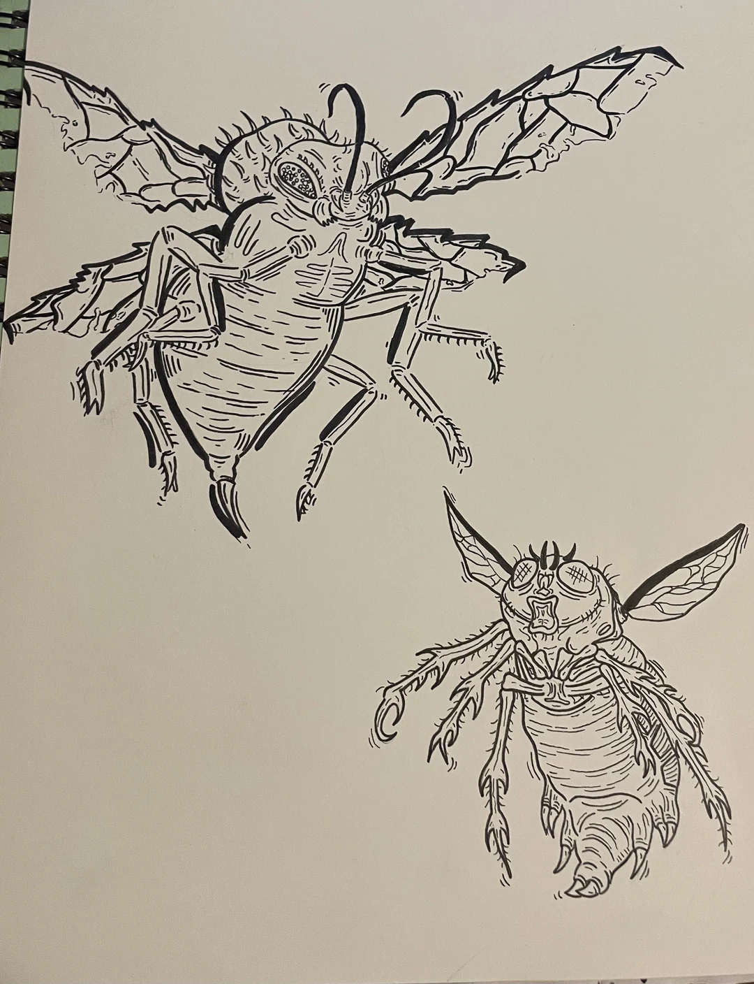 wanted to attempt bugs | Scrolller