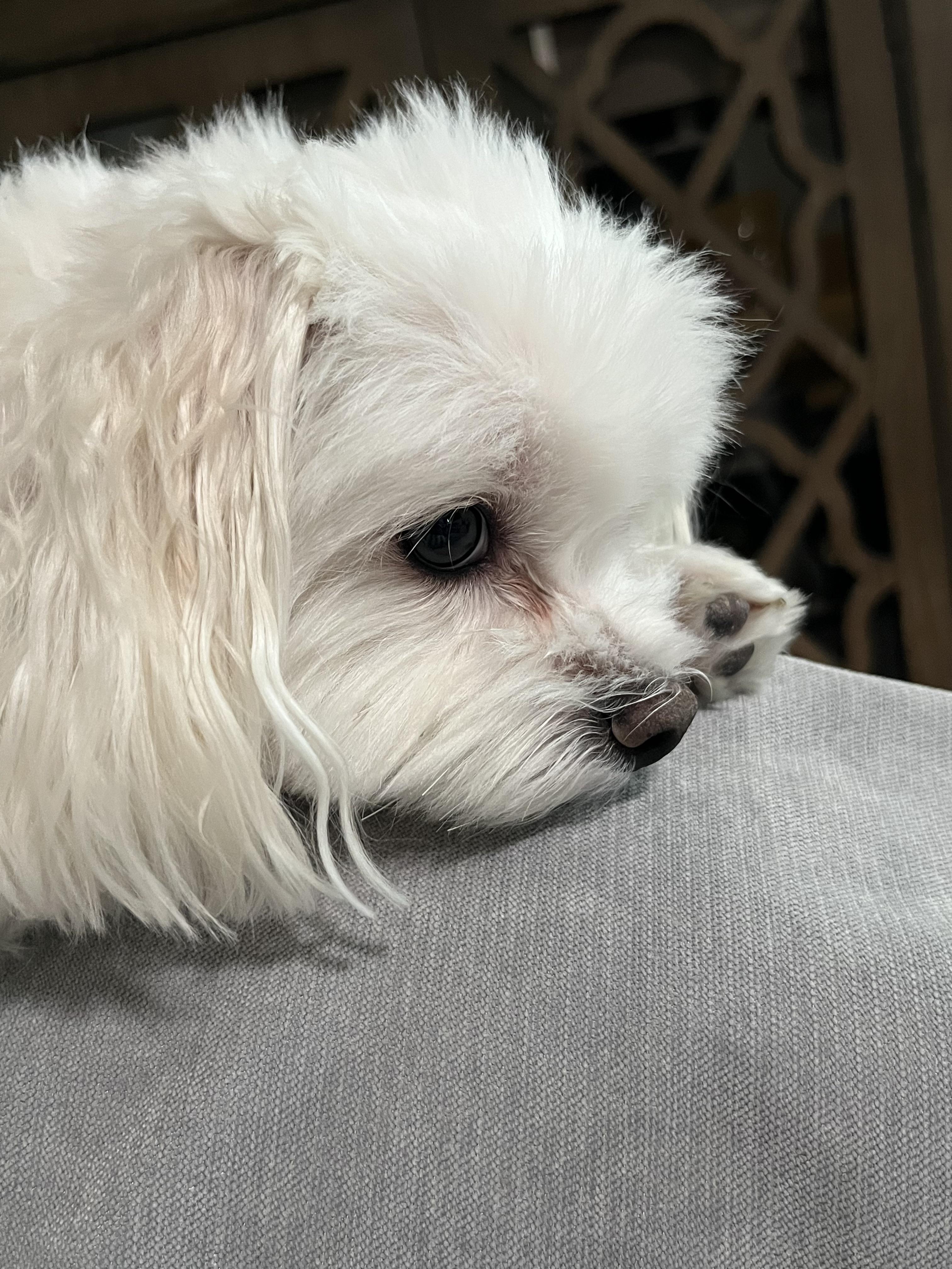 “Leave me alone, human.” | Scrolller