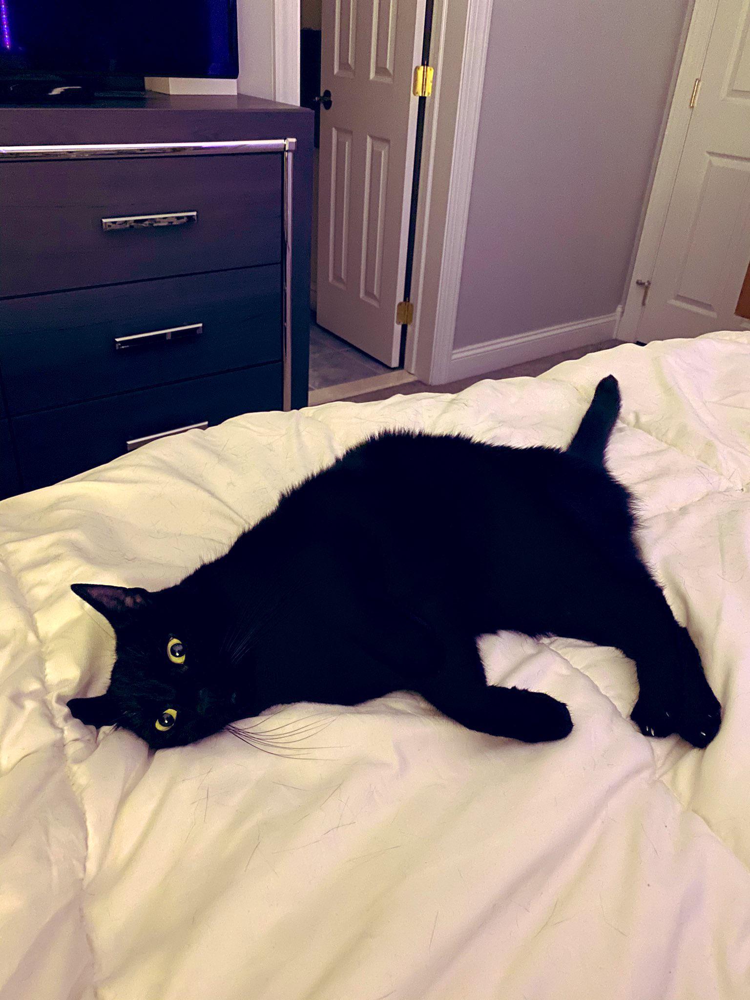 Void’s arm disappearing into the void | Scrolller