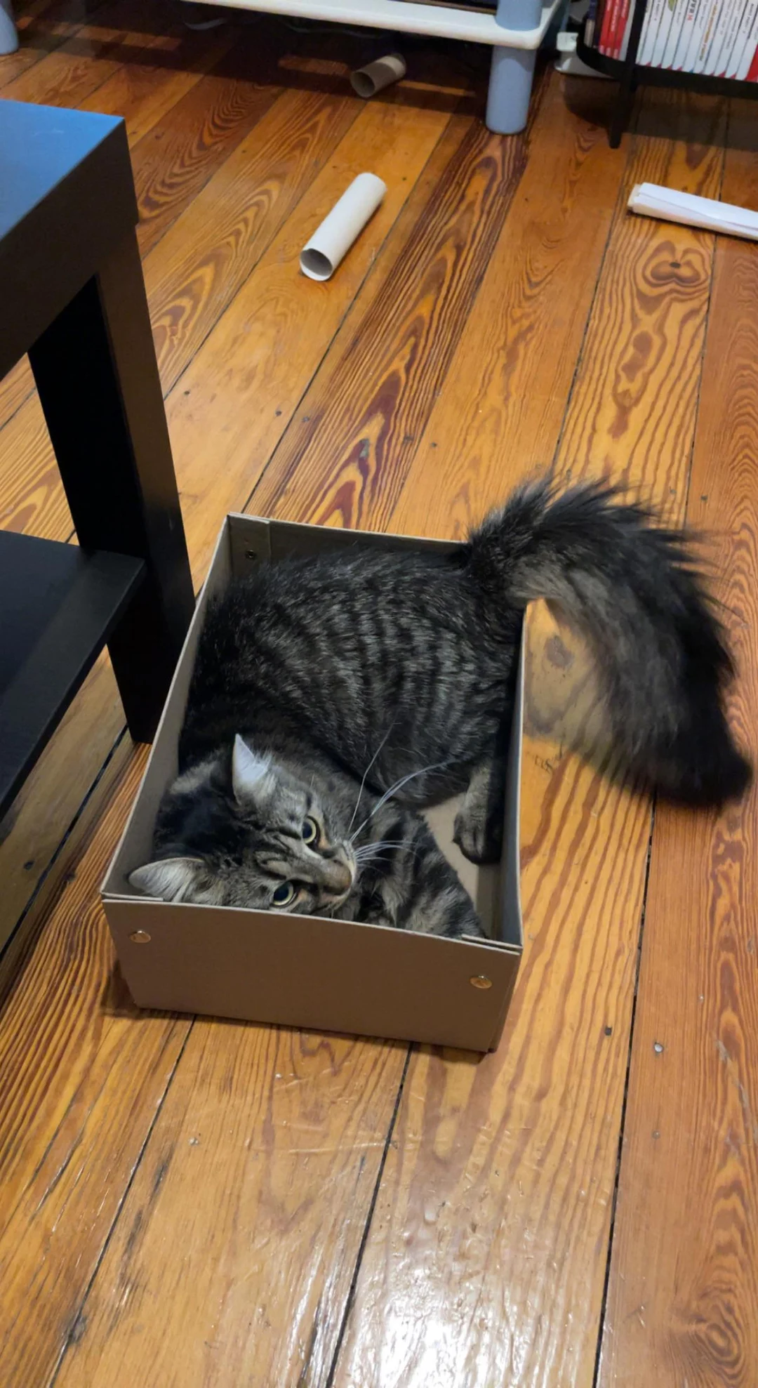 Almost too easy! | Scrolller