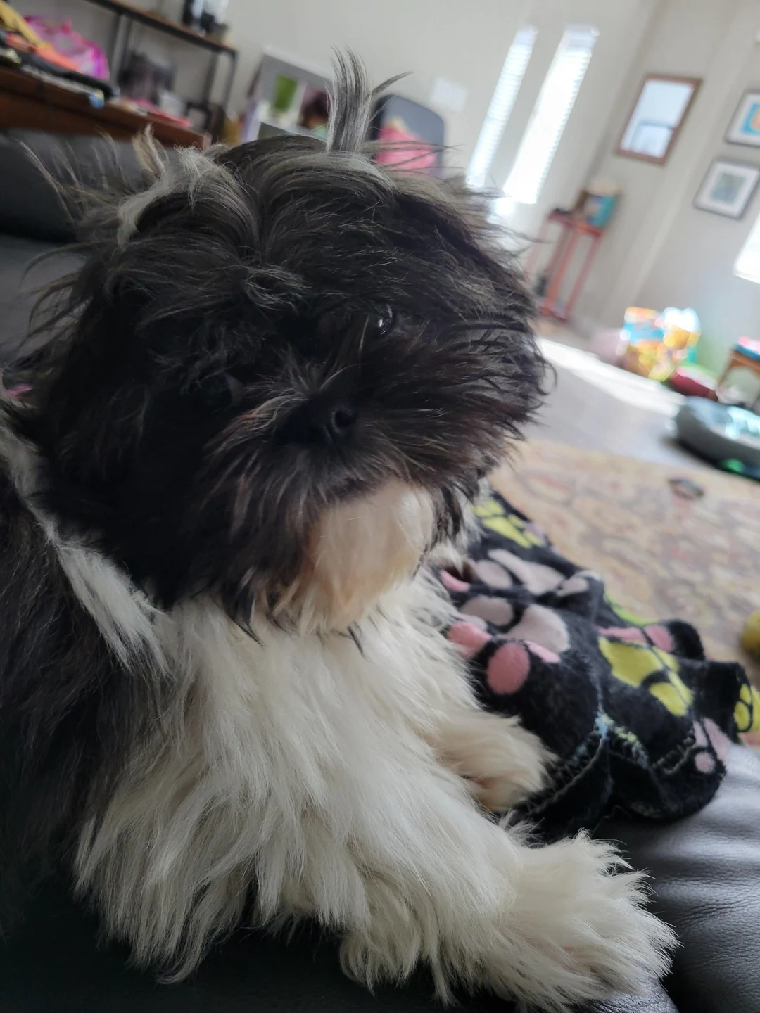 Amos needs a haircut | Scrolller