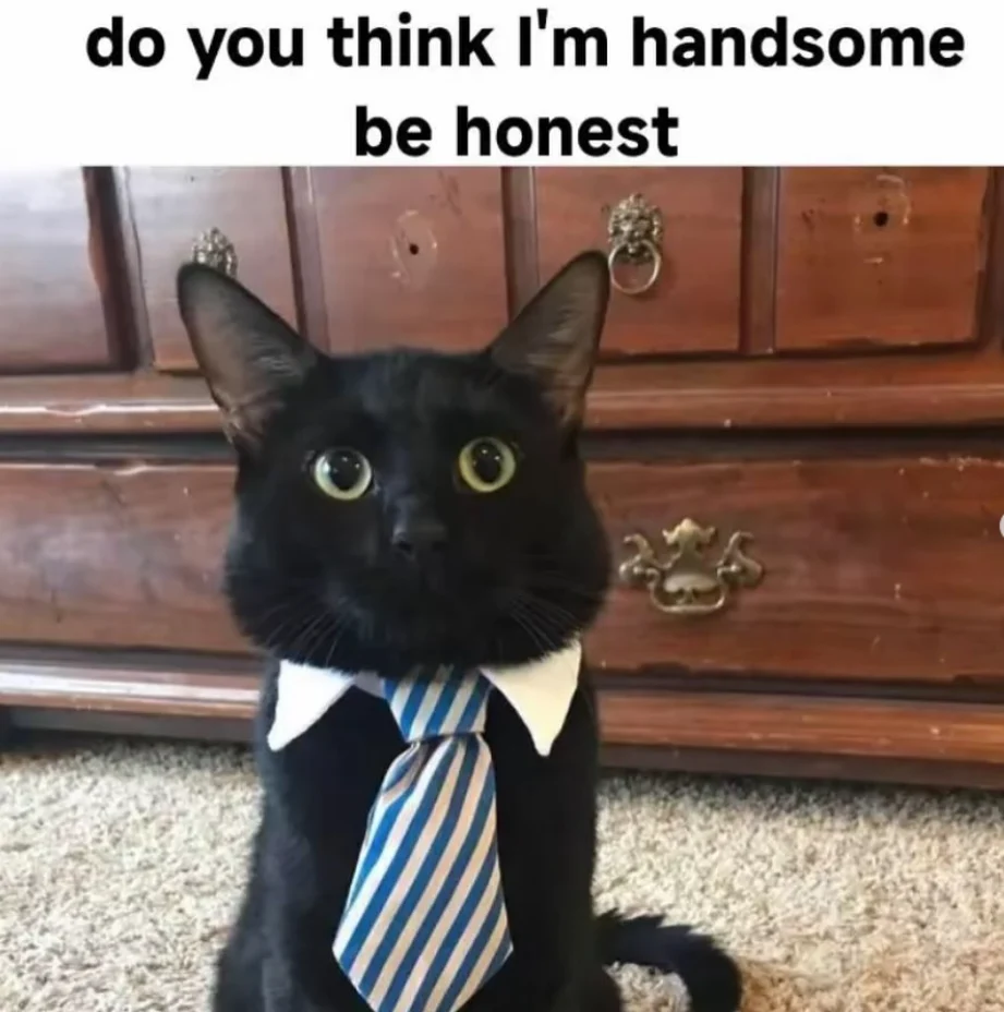 Very handsome | Scrolller