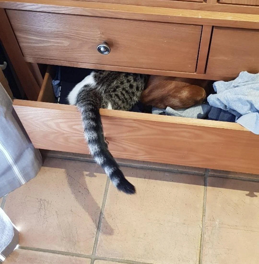 Got them both! | Scrolller