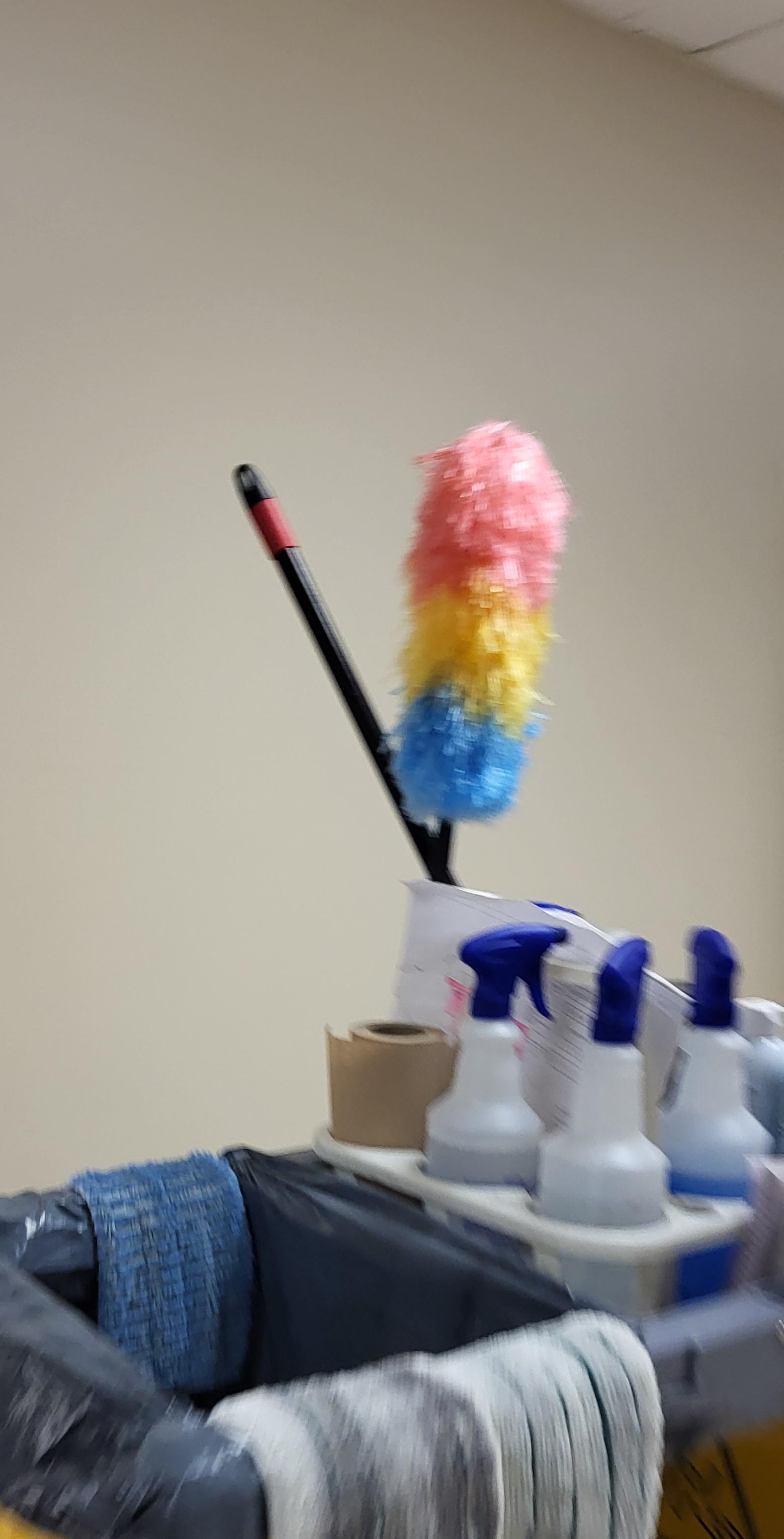 Janitors showing pansexual pride? | Scrolller