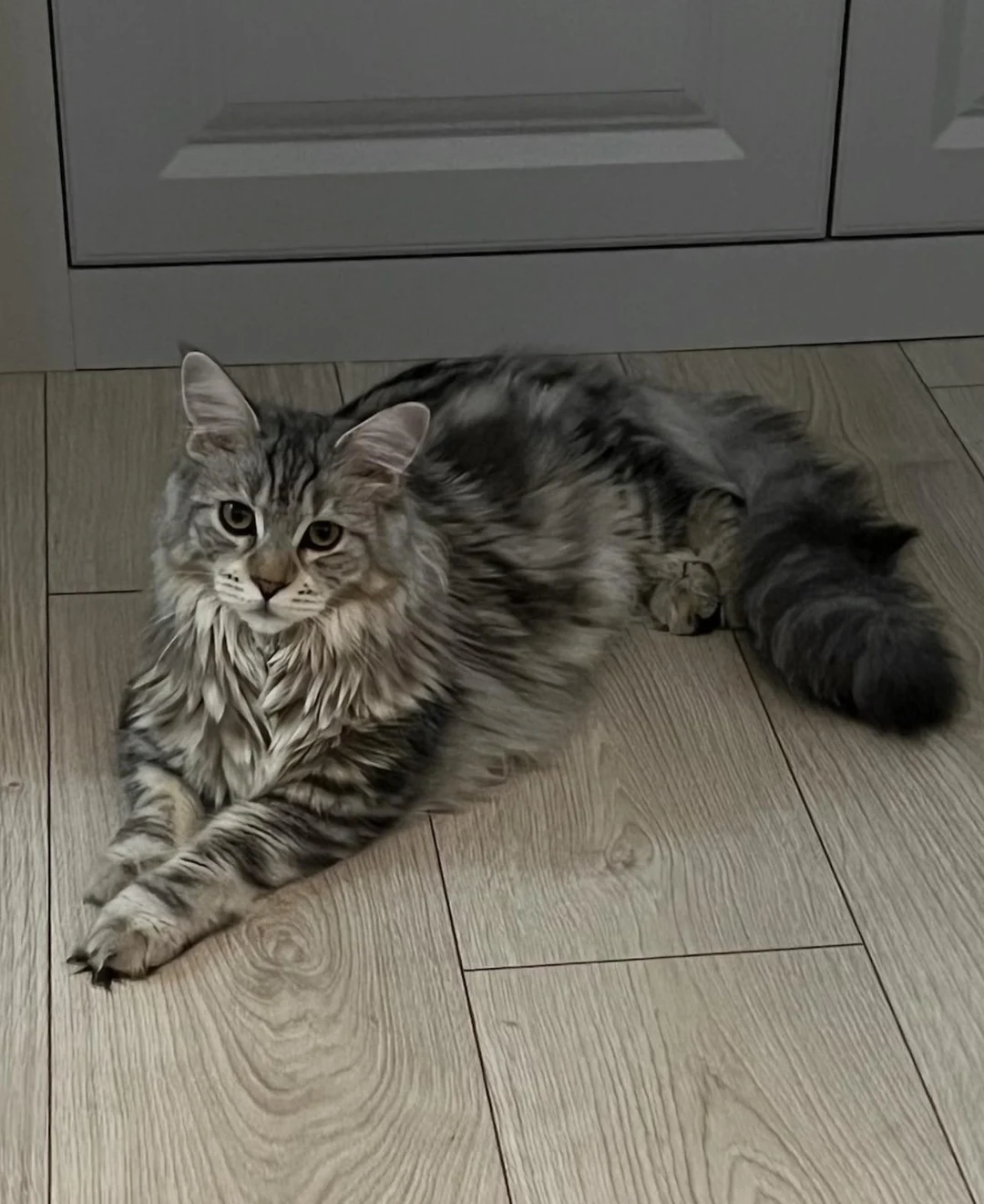 What do you think she should be called? | Scrolller