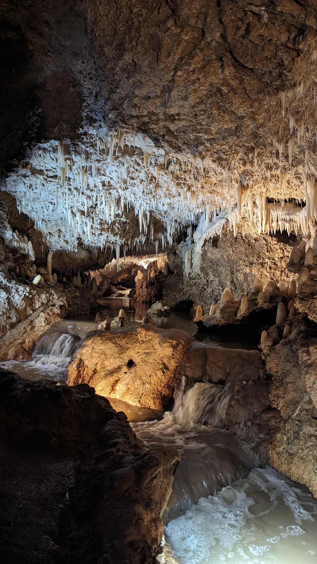 Cave in Barbados {2268x4032} {OC} | Scrolller