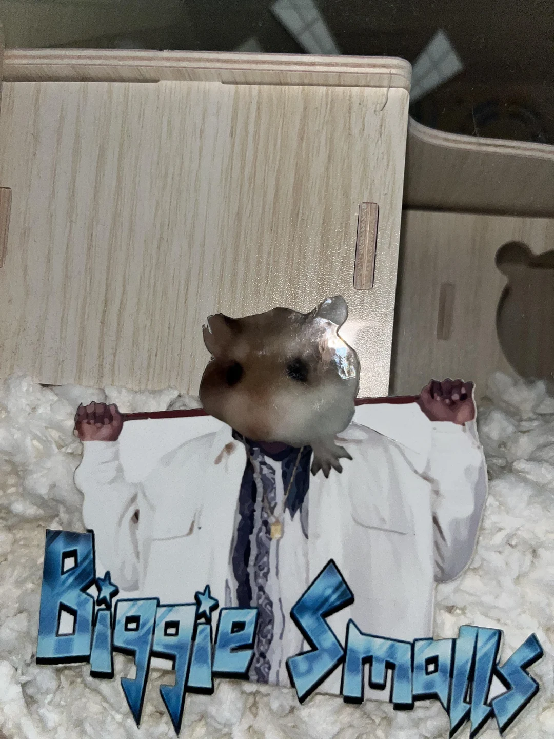 Sticker I made for my new hamster | Scrolller