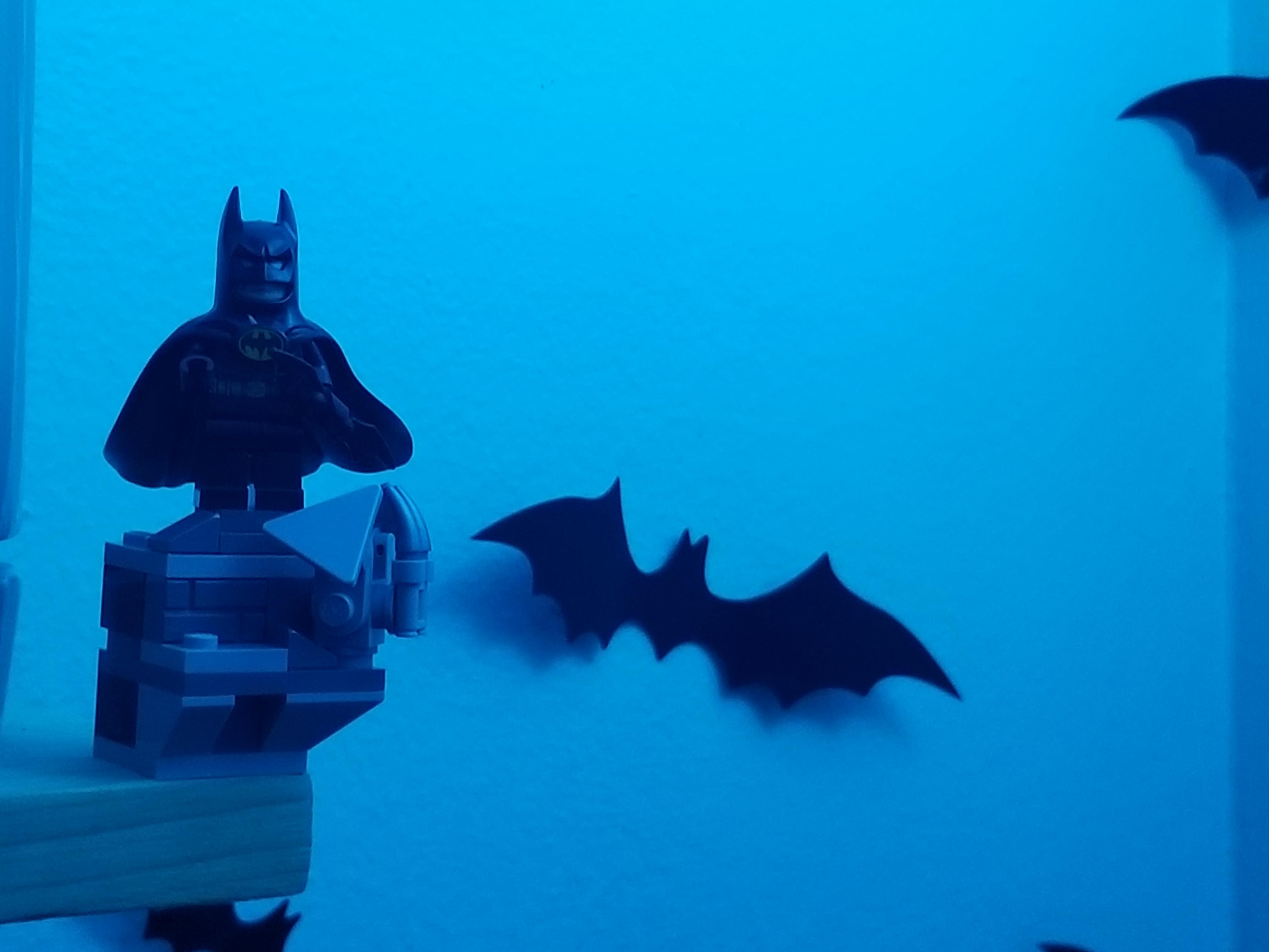 Bat perspective | Scrolller