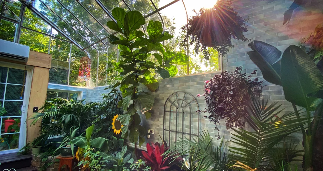 I love sitting in our greenhouse. | Scrolller