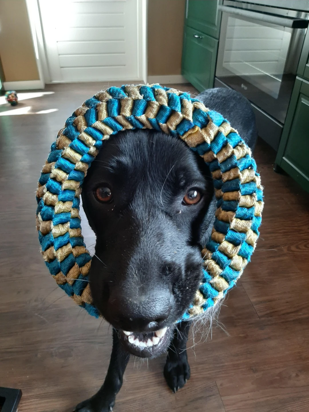 Like a little picture frame! | Scrolller