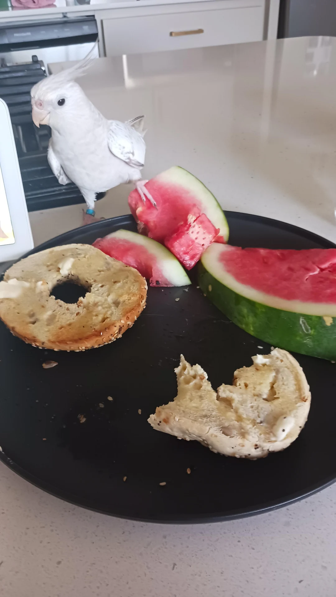 Finally got her to eat some fruit by putting it on my plate! | Scrolller