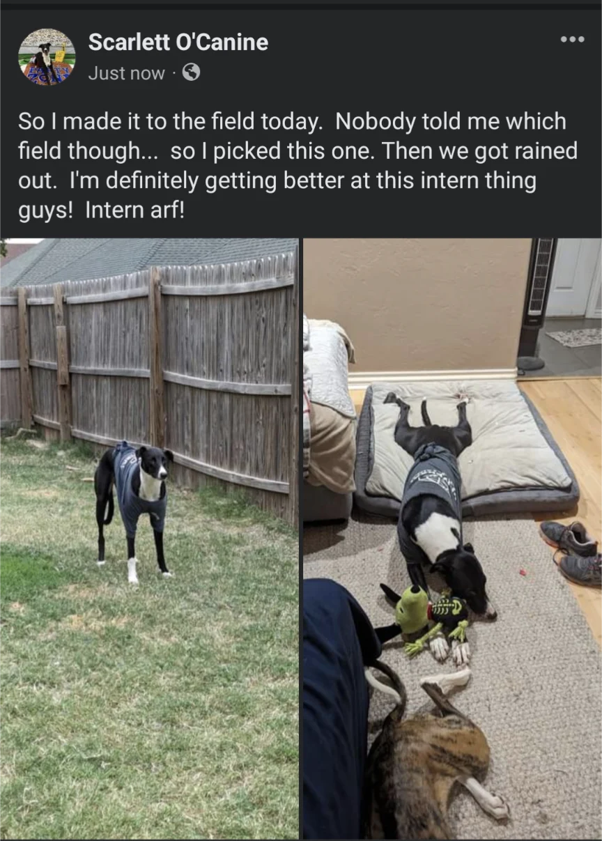 The Internship shenanigans continue. | Scrolller