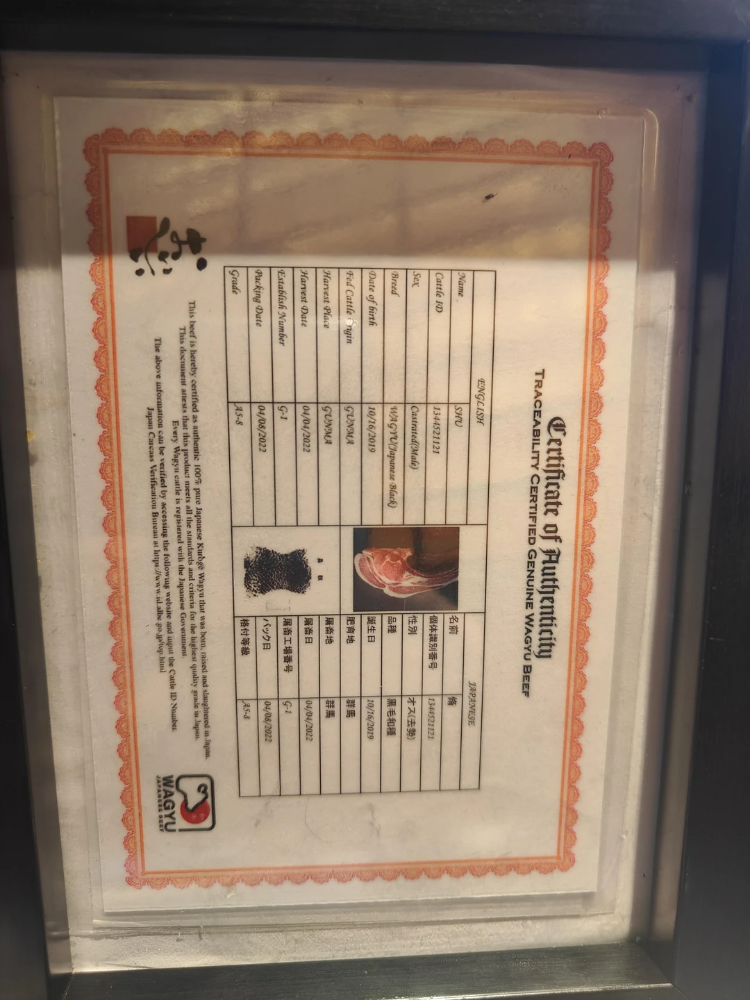 Wagyu certificate | Scrolller