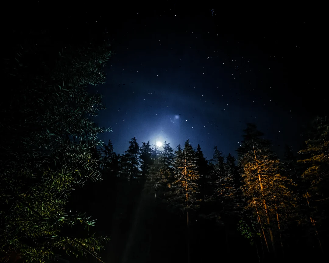 Moonlit sky with stars , Himachal Pradesh, India | Scrolller