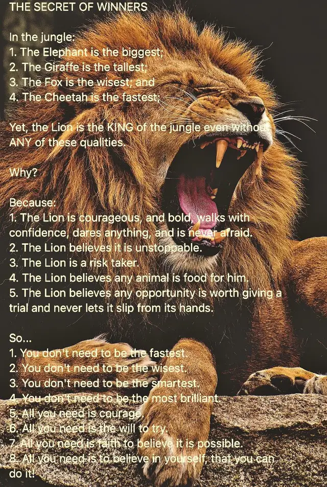 [Image] The Secret of Winners | Scrolller