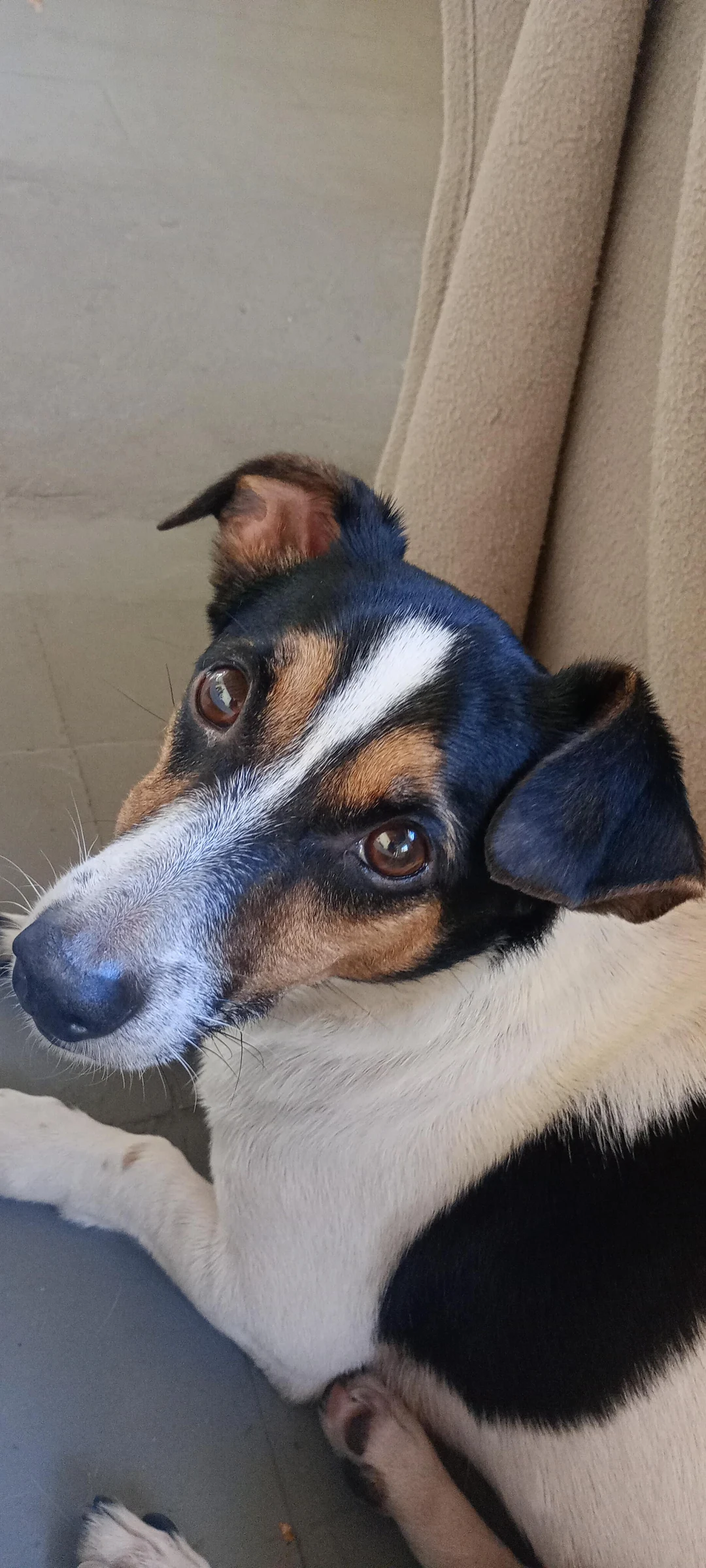 his look is very tender🥹 | Scrolller