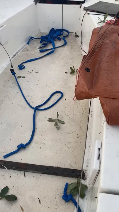 First sail on my new old catboat. 1973 Dilks Sun Cat with dual retractable bilgeboards, drawn by ...