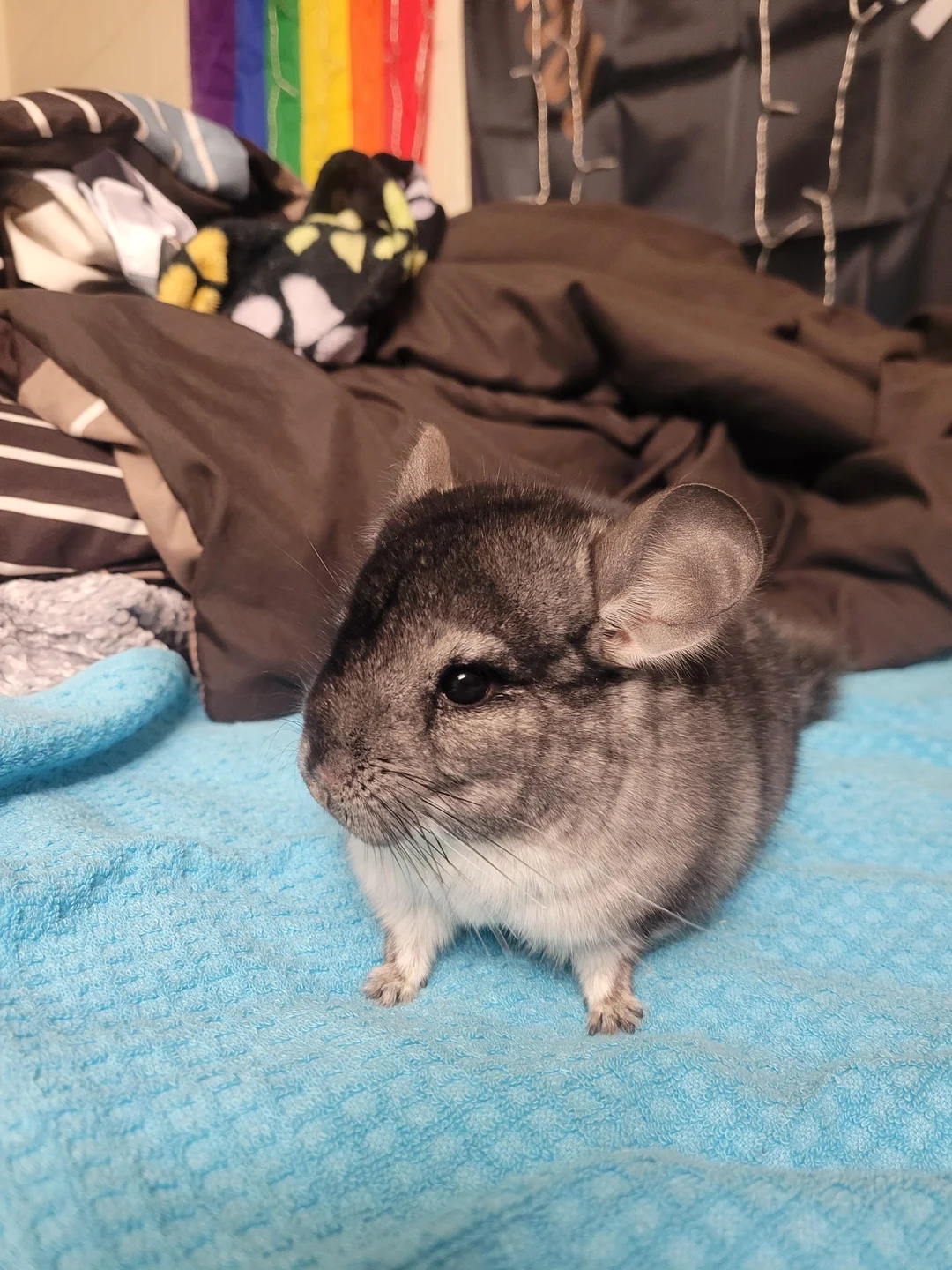 Exploration time | Scrolller