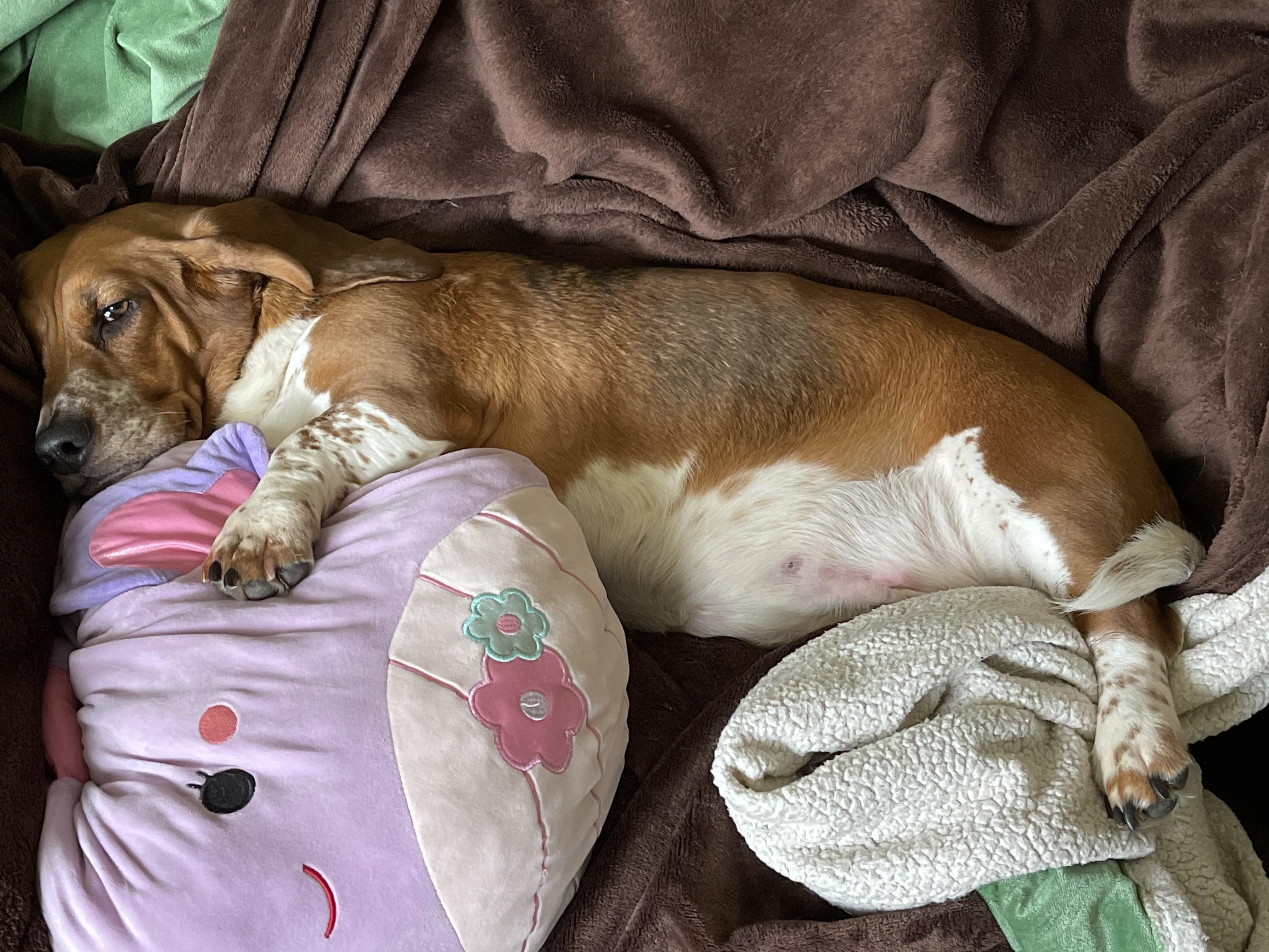 Soooo tired!!! | Scrolller