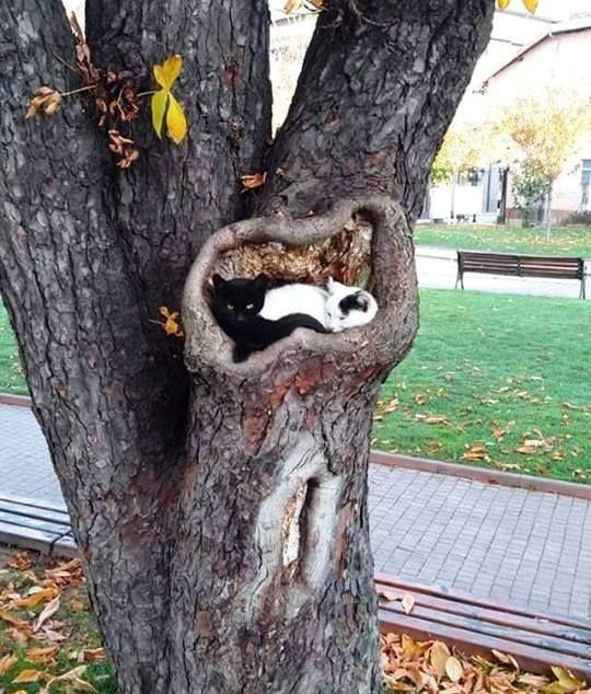 Such a beautiful sight | Scrolller