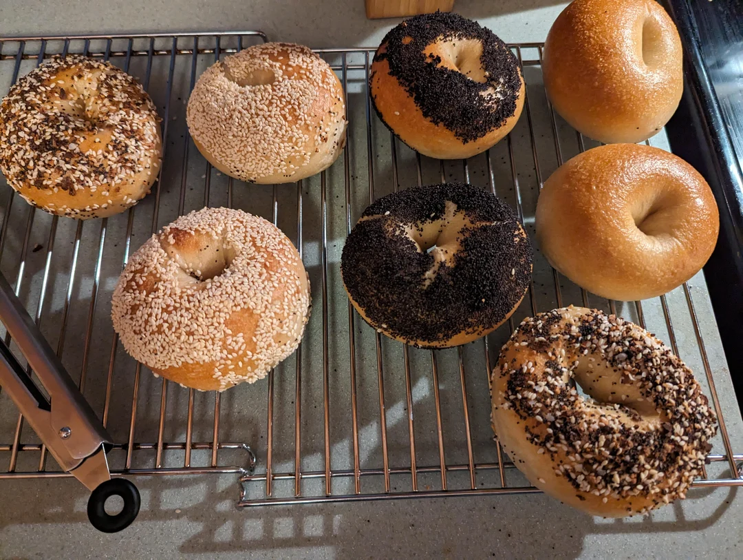 Discover more like Breadit: Bagel bag failure! and Related Content | Scrolller