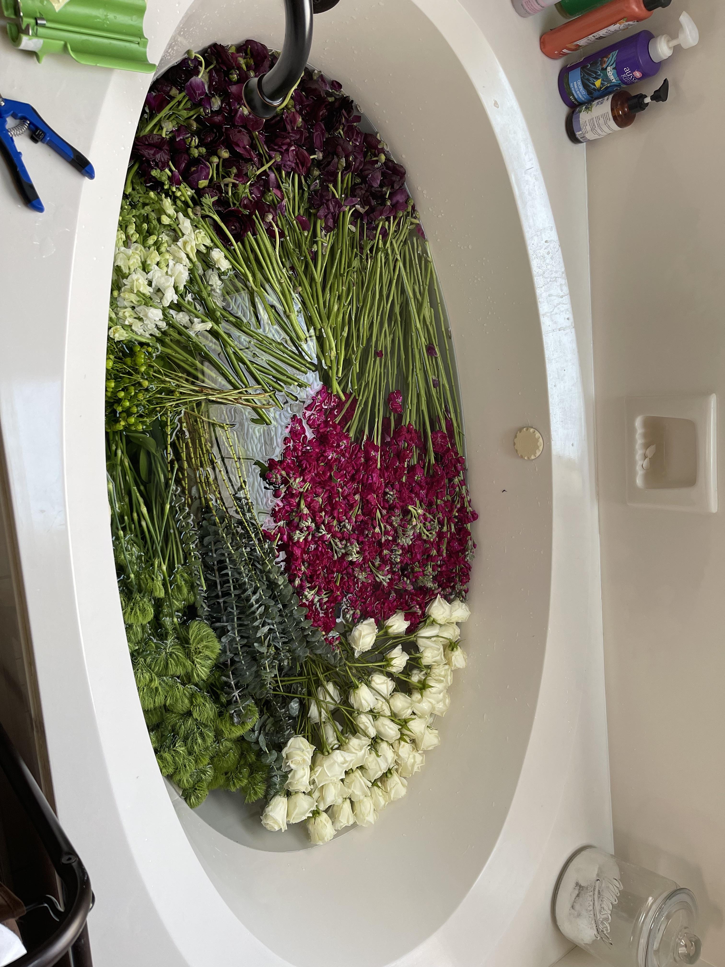 Hey, Saturday brides! How we feeling? | Scrolller