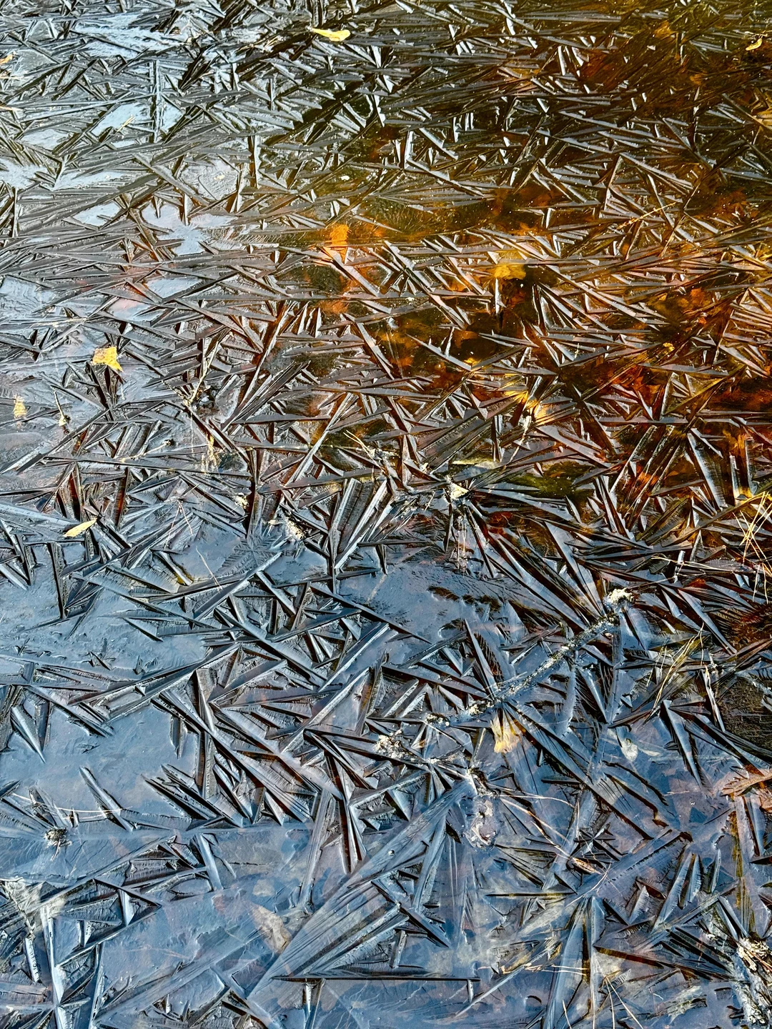 Beautiful geometric patterns in the ice on a frozen pond in Florida ...
