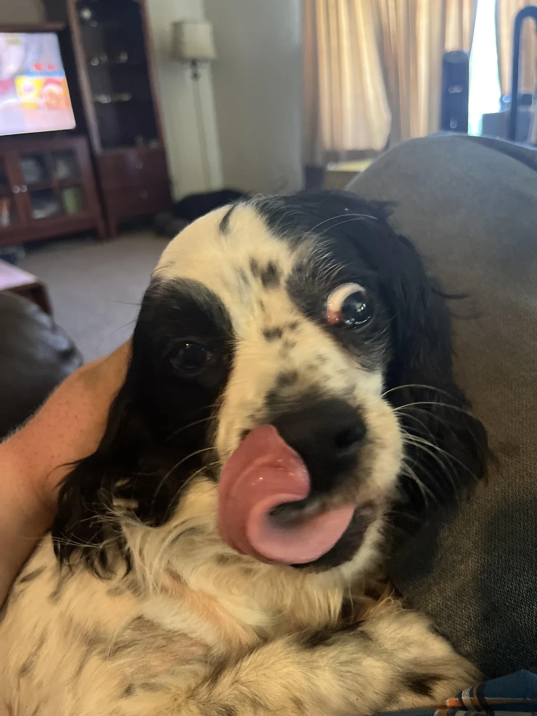 My brother in law caught their little one mid yawn/sneeze/exorcism. | Scrolller