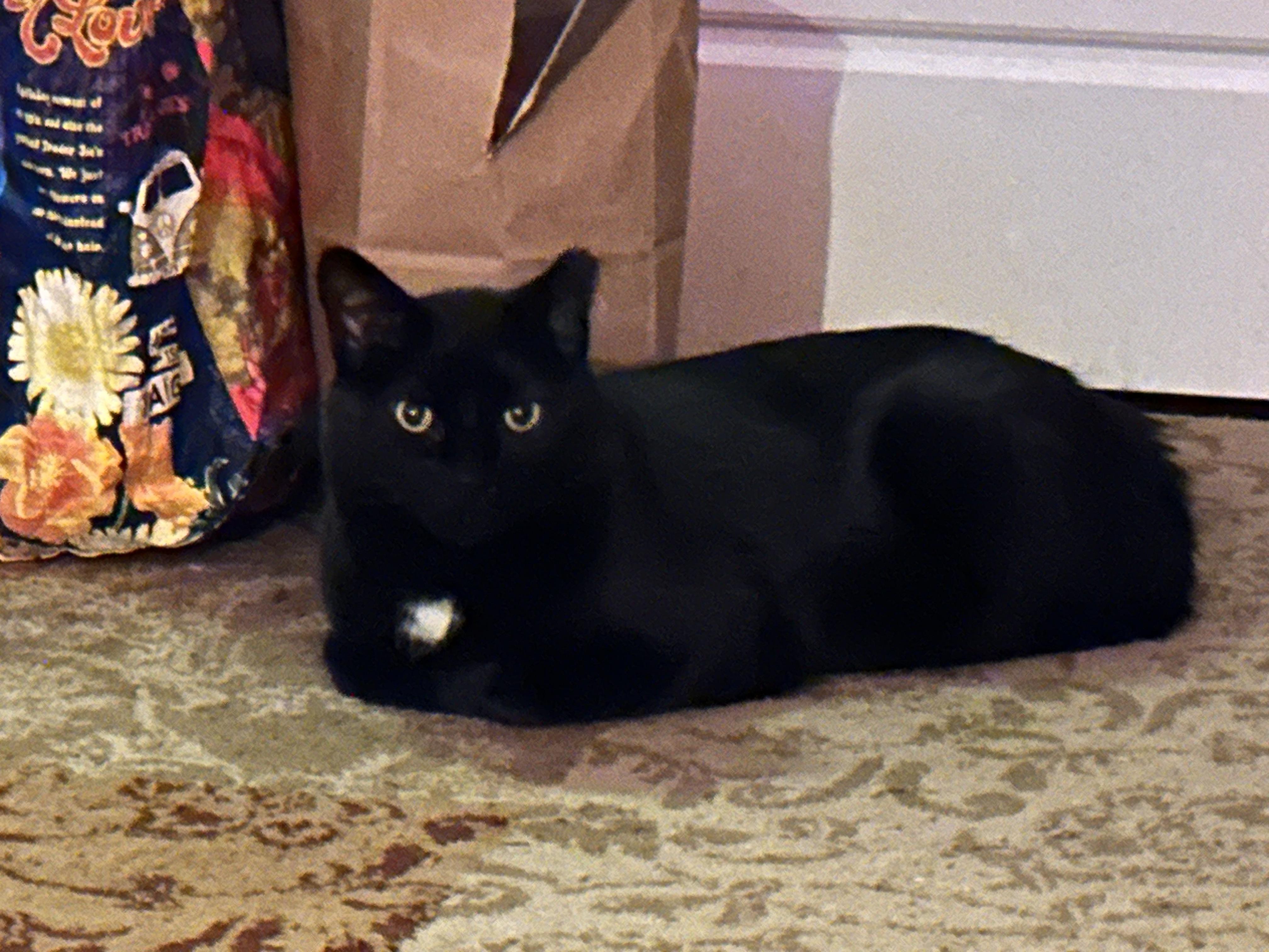 Void Loaf | Scrolller