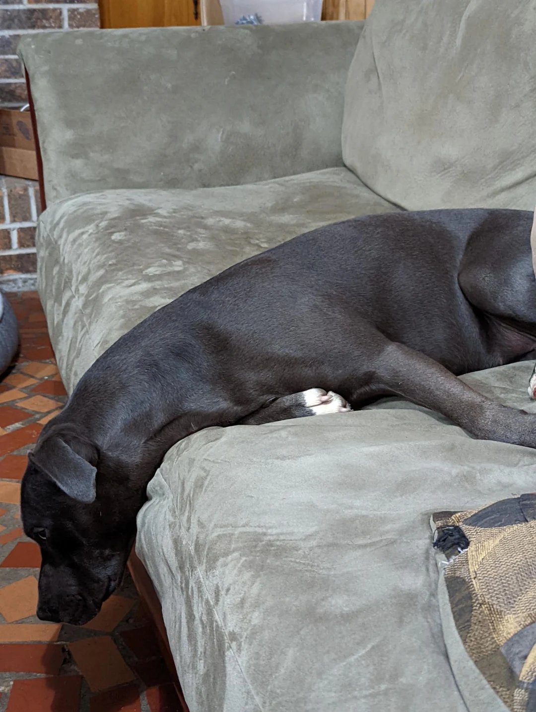 She has to sleep with a broken neck. | Scrolller