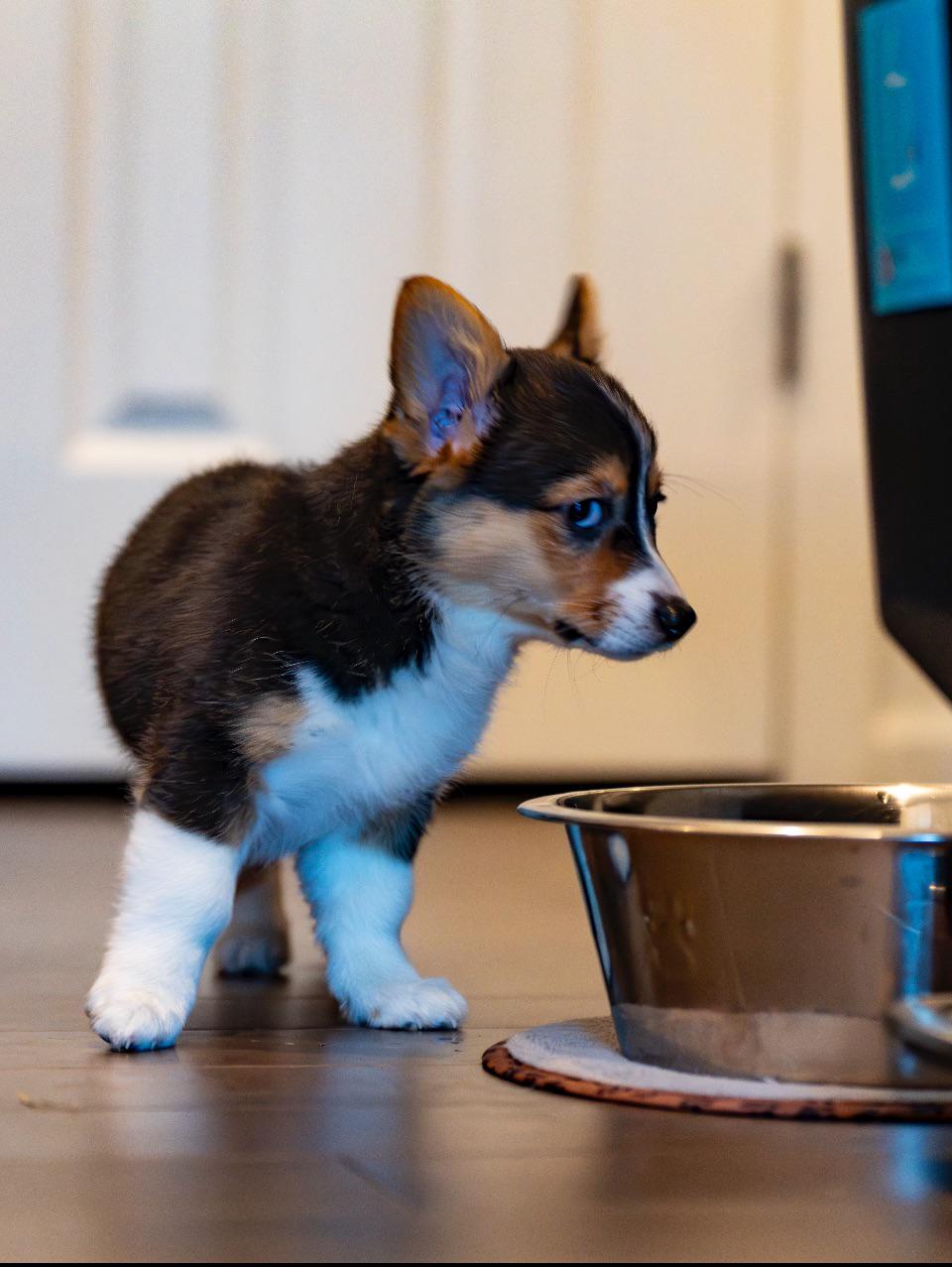 The side eye | Scrolller