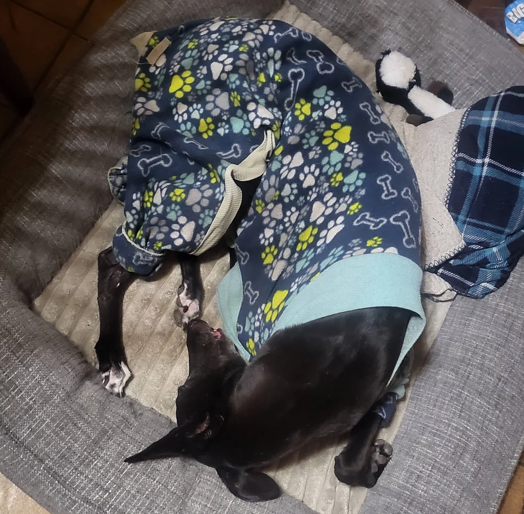 Someone explain how this is comfortable! | Scrolller