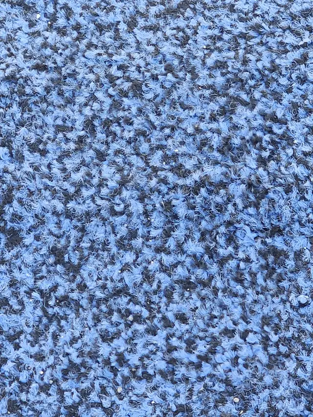 Carpet 20x zoom | Scrolller