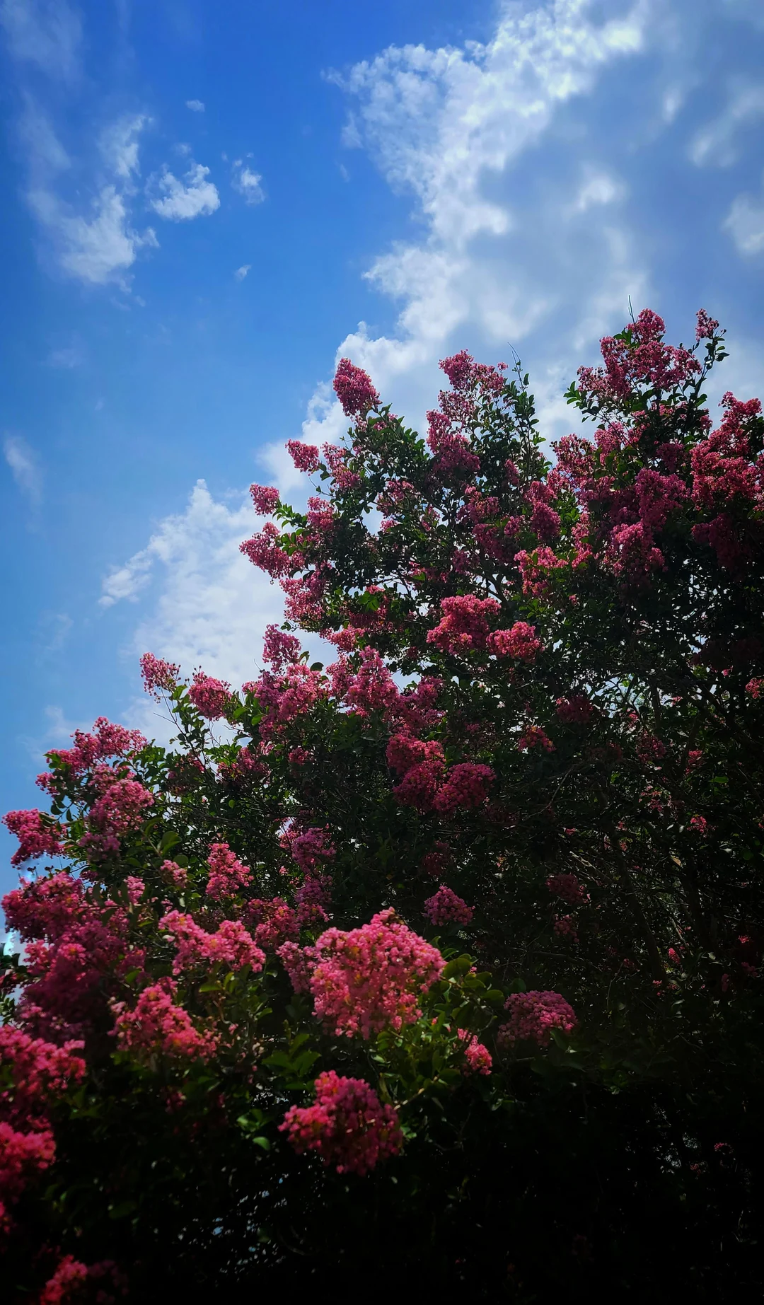 Natures Vast Drapes | Scrolller