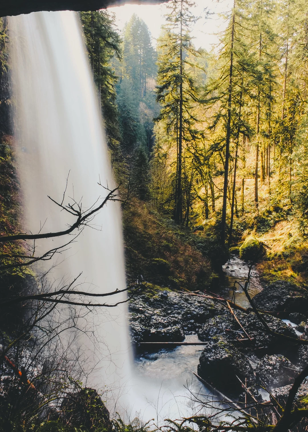 The view from behind a waterfall, Silver Falls State Park, Oregon [OC] [2922 x 4091] @itk.jpeg ...