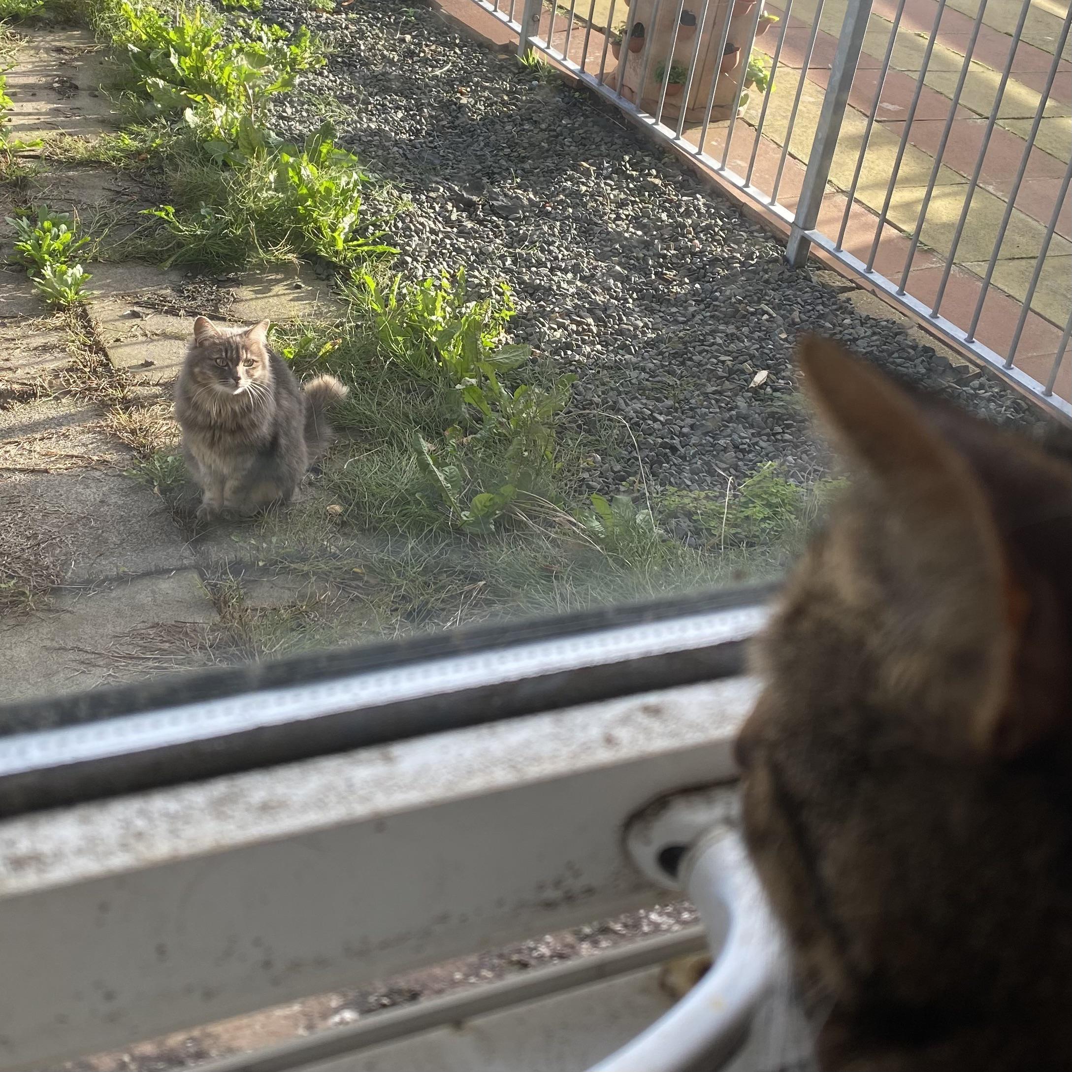 The Princess and the Eunuch - a tale of forbidden love | Scrolller