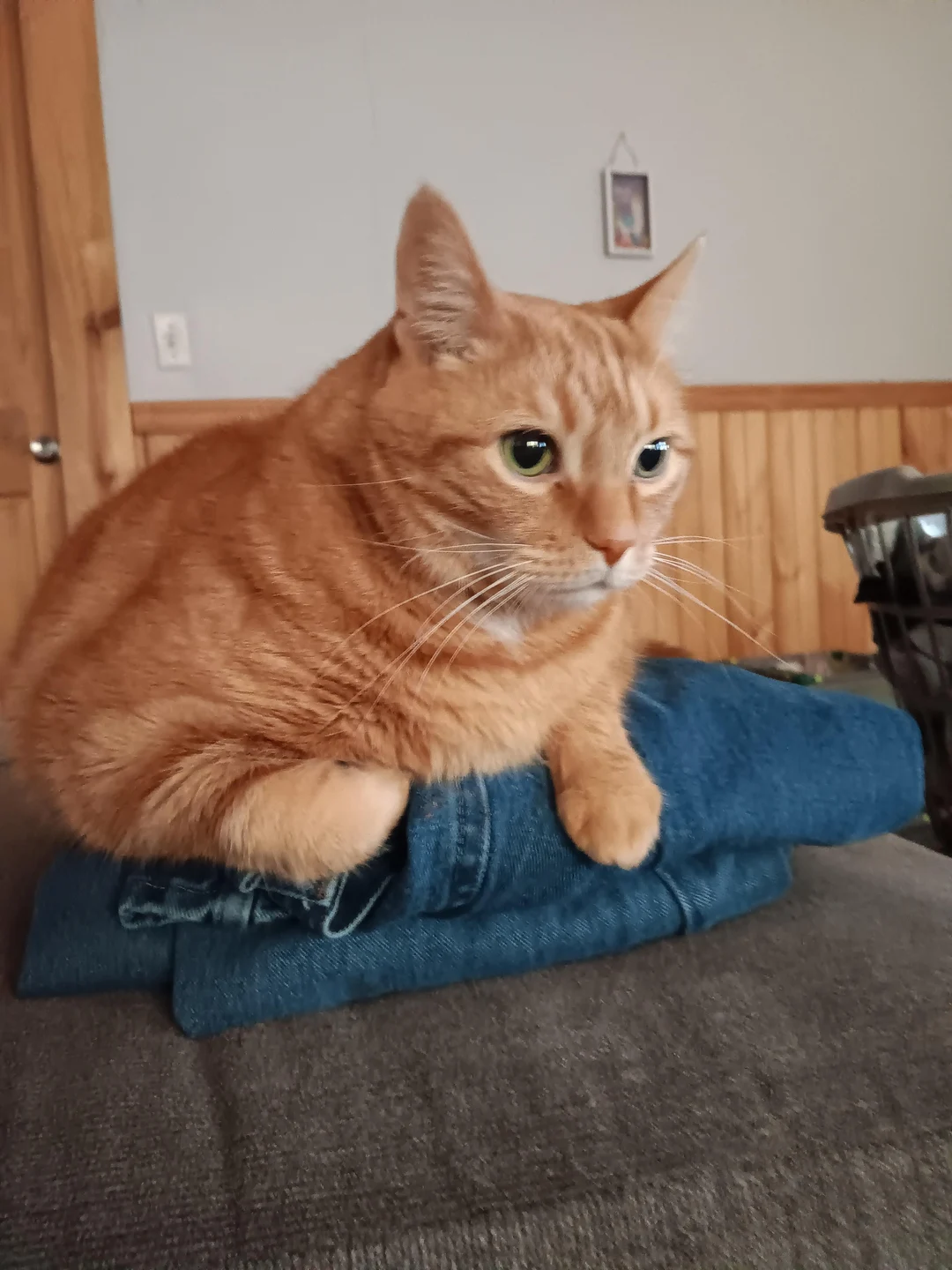 Clean folded cloths always works | Scrolller