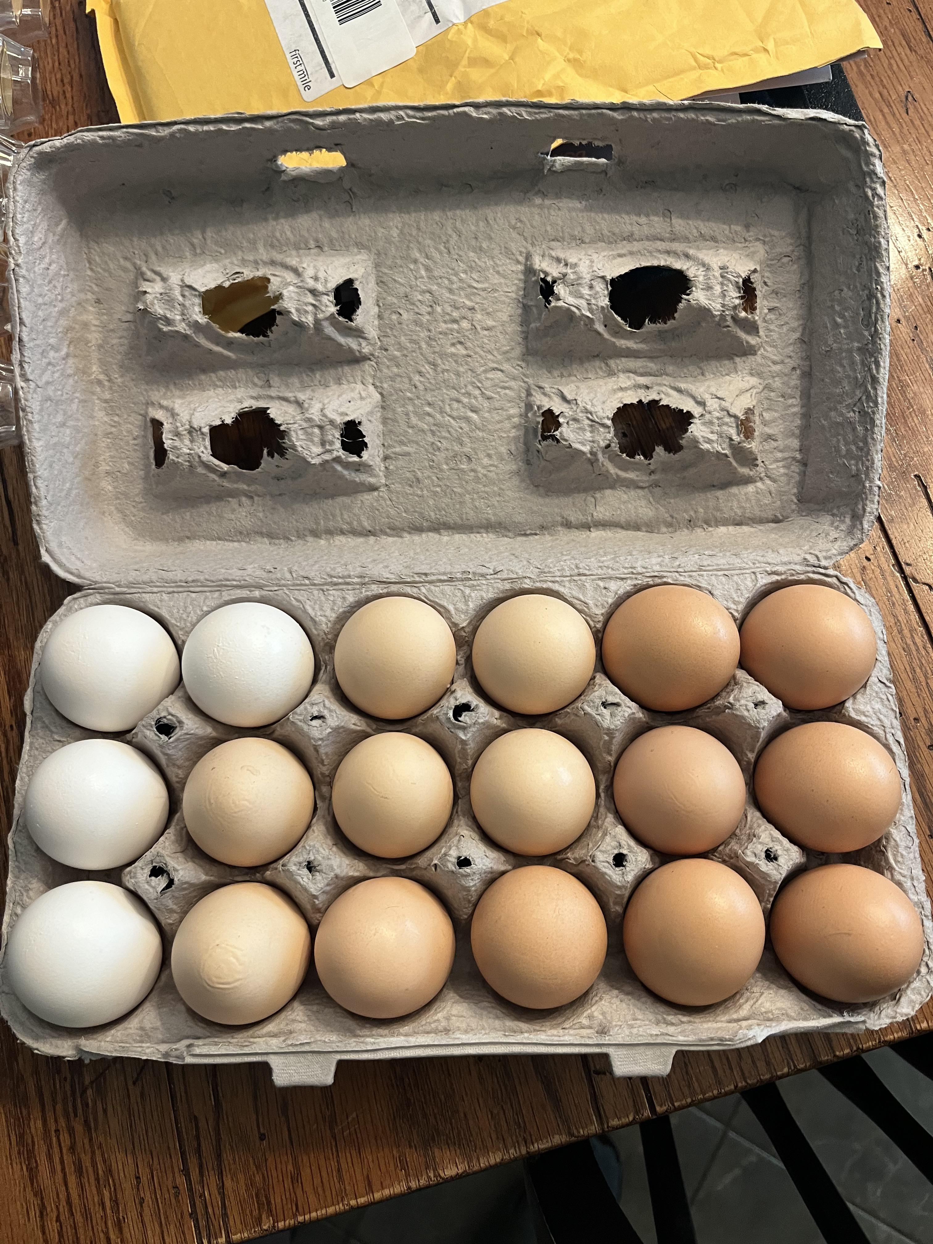 These eggs my GF organized | Scrolller