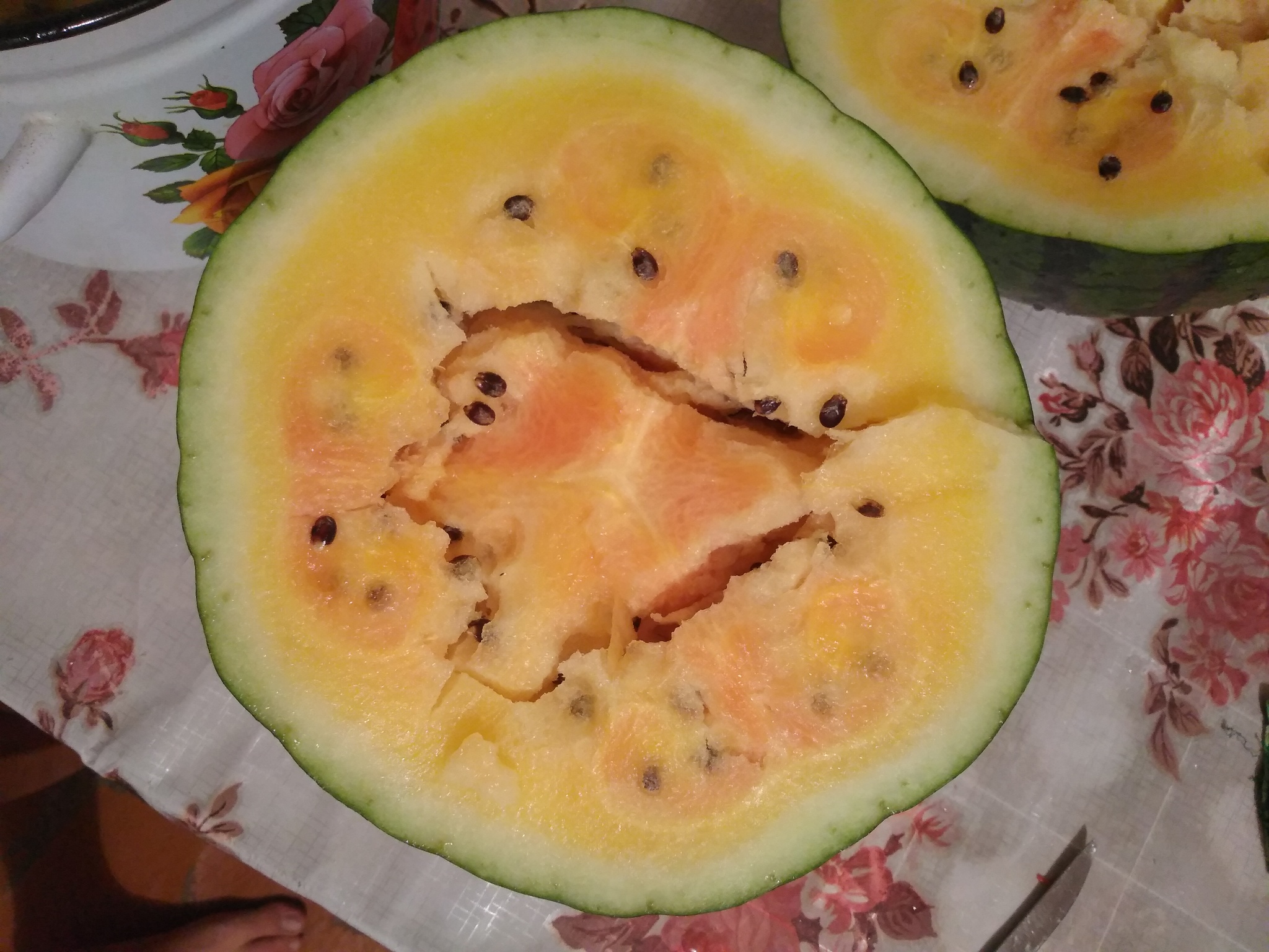 Bicolor watermelon | Scrolller