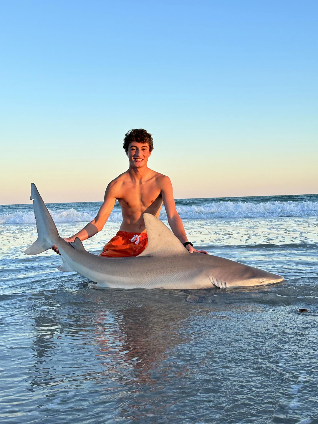 Can someone ID this shark. Caught in NC | Scrolller