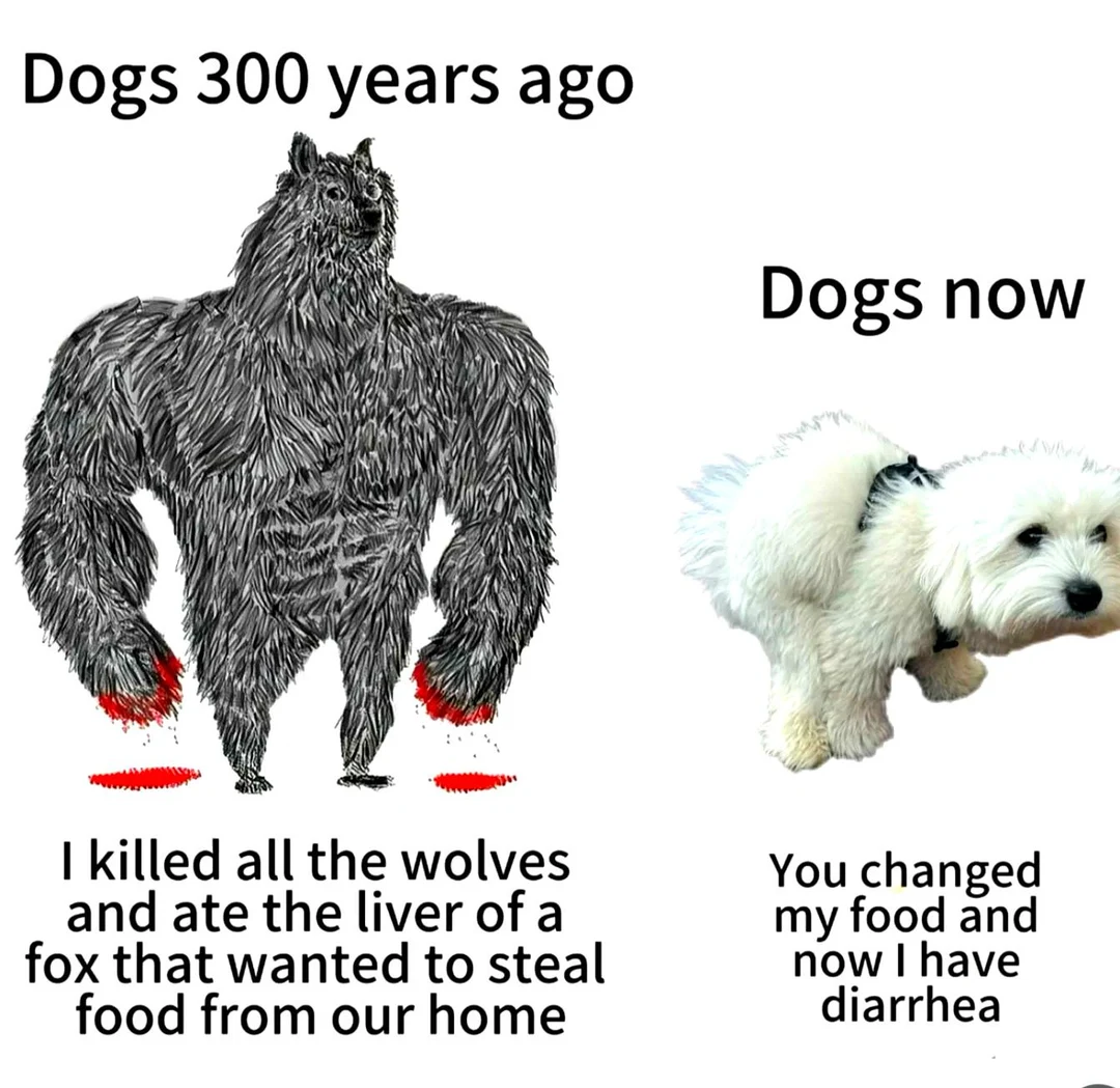 The Naked result of inbreeding | Scrolller