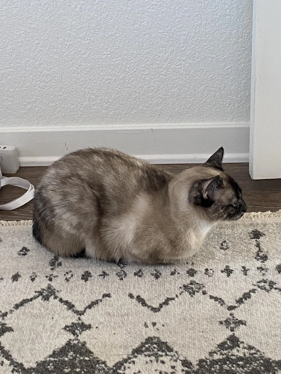 Perfect form | Scrolller